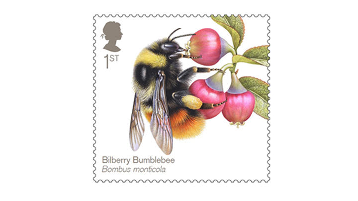 About us - Reading bee team