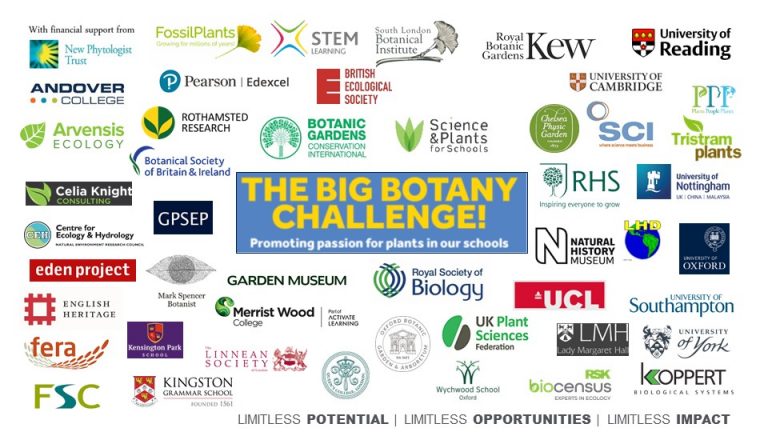 The Big Botany Challenge - Reading Botany