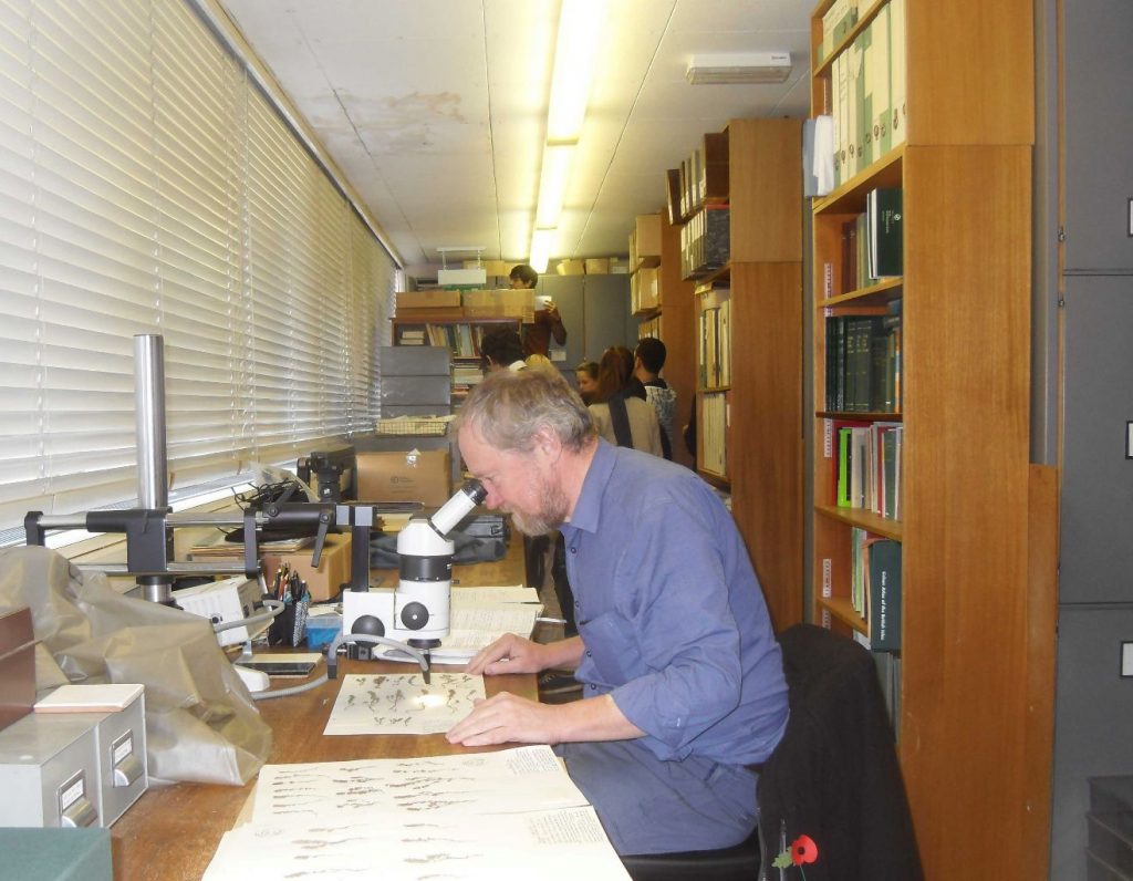 Herbarium - Reading Botany