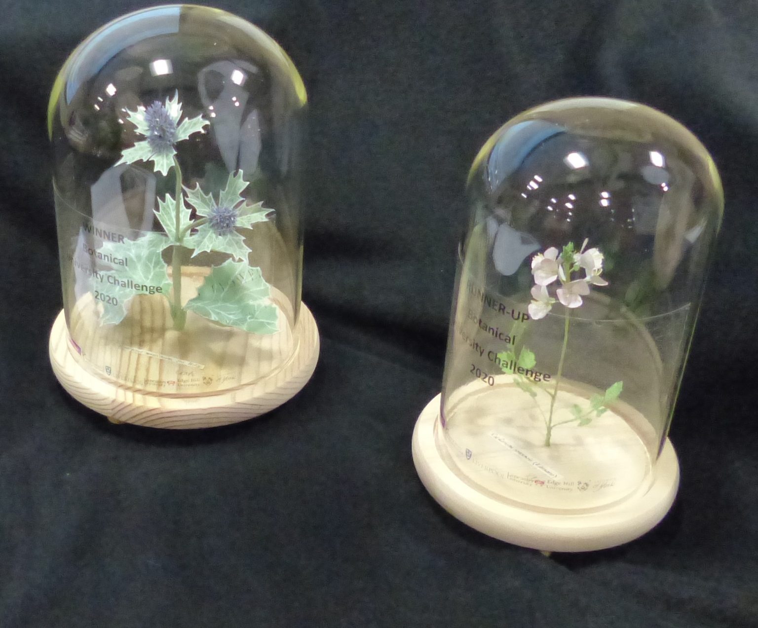 Reading botanists bring home the Botanical University Challenge trophy ...