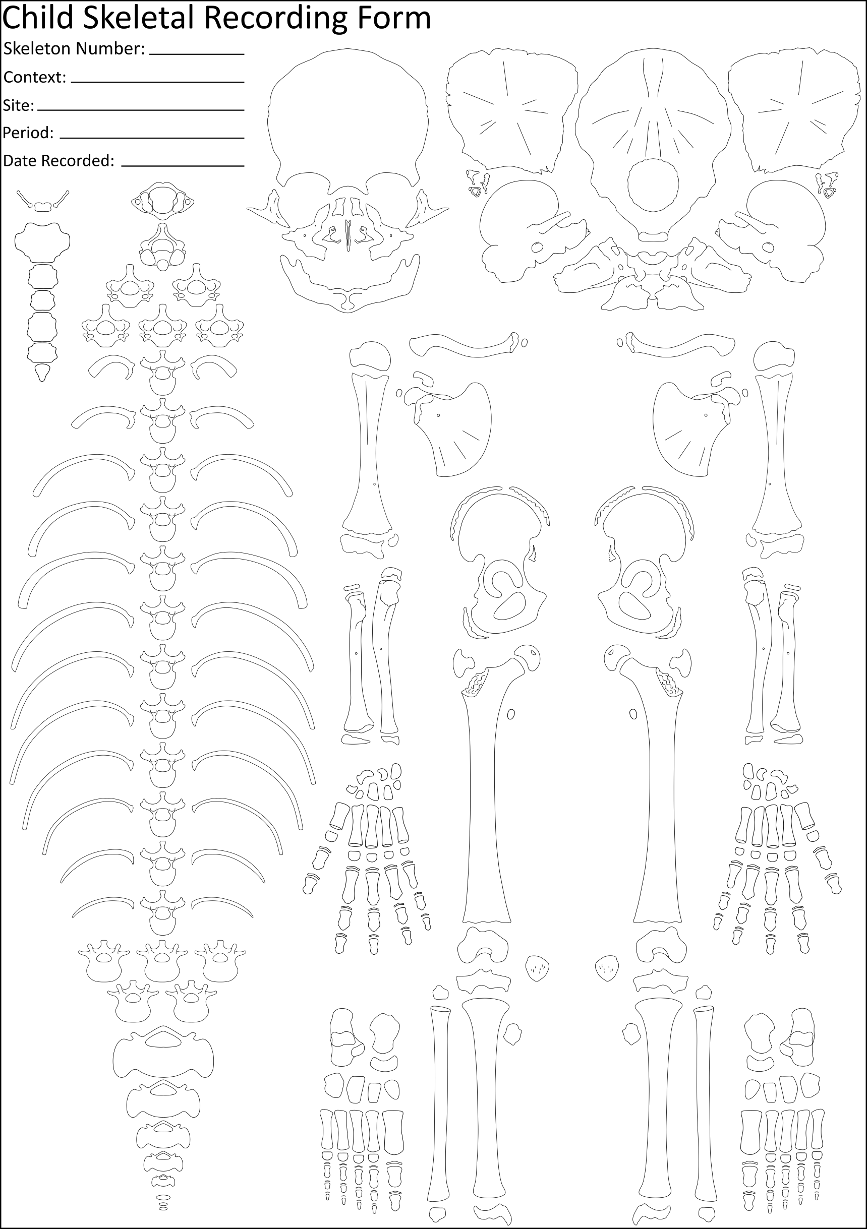 Non-Adult Recording Forms - Bringing Up Baby