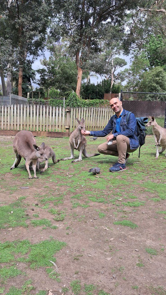 Goodbye Australia - Bilingualism in The Brain