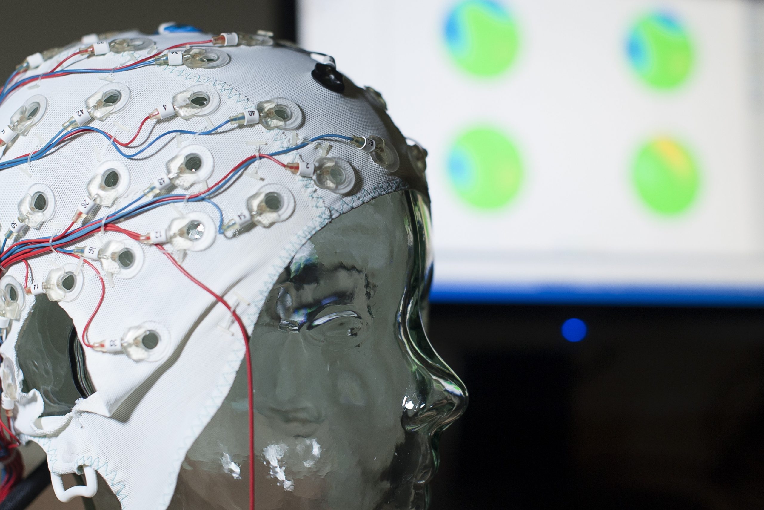 Encephalography (EEG) Suite - Centre for Integrative Neuroscience and ...