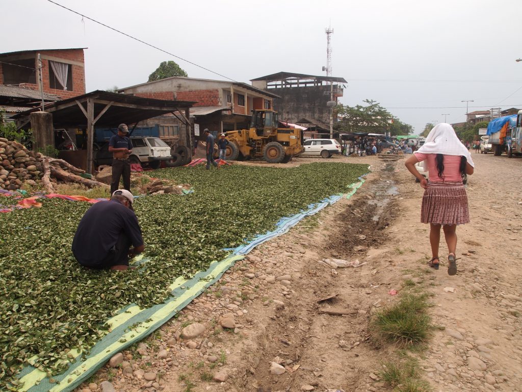 Our Research - Drug Crops and Development in the Andes