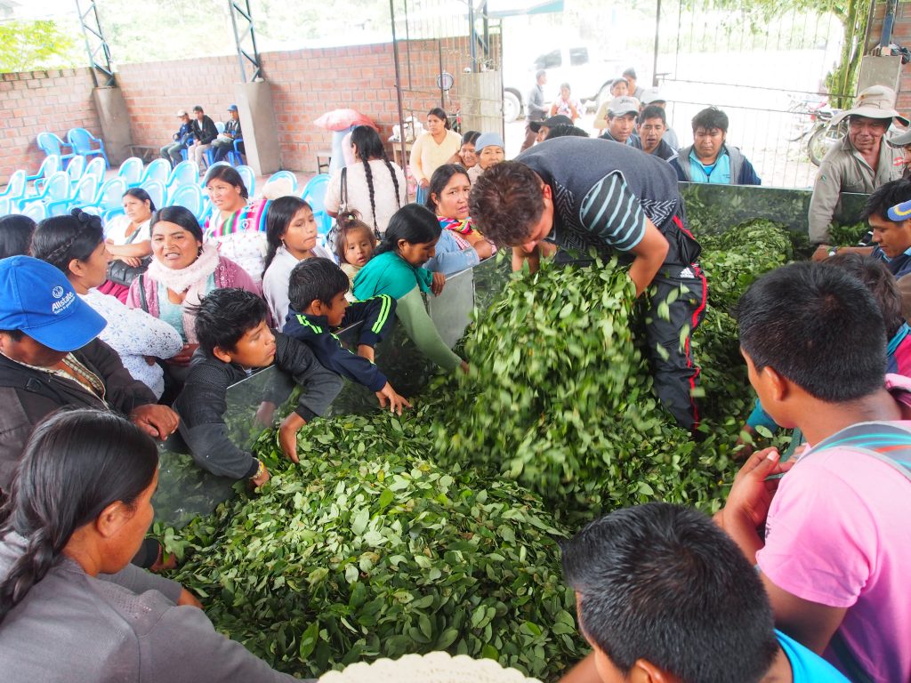 Our Research - Drug Crops and Development in the Andes