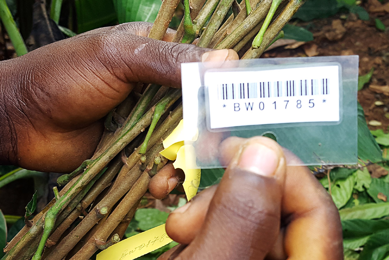 Digital Data Collection in the Field - Cocoa research