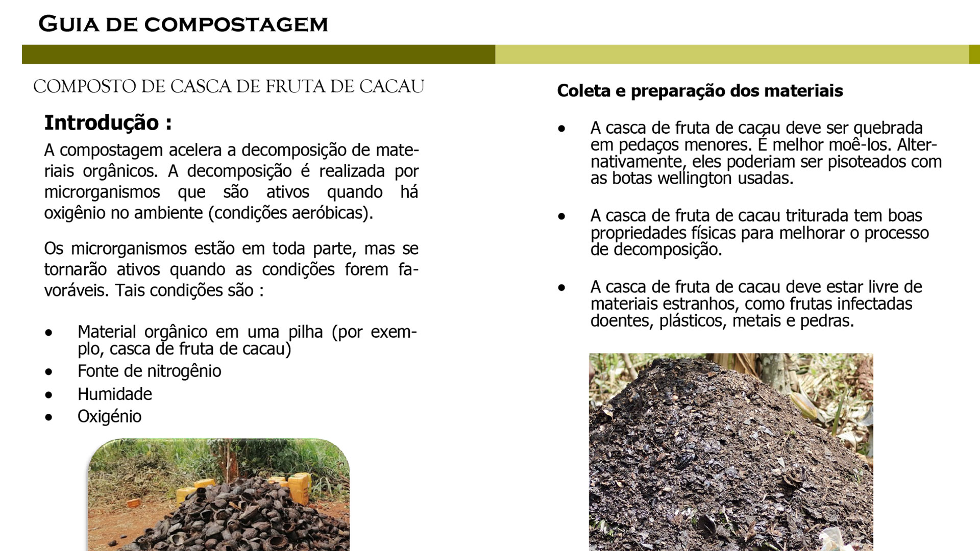 Soil Amendments Project - Cocoa research