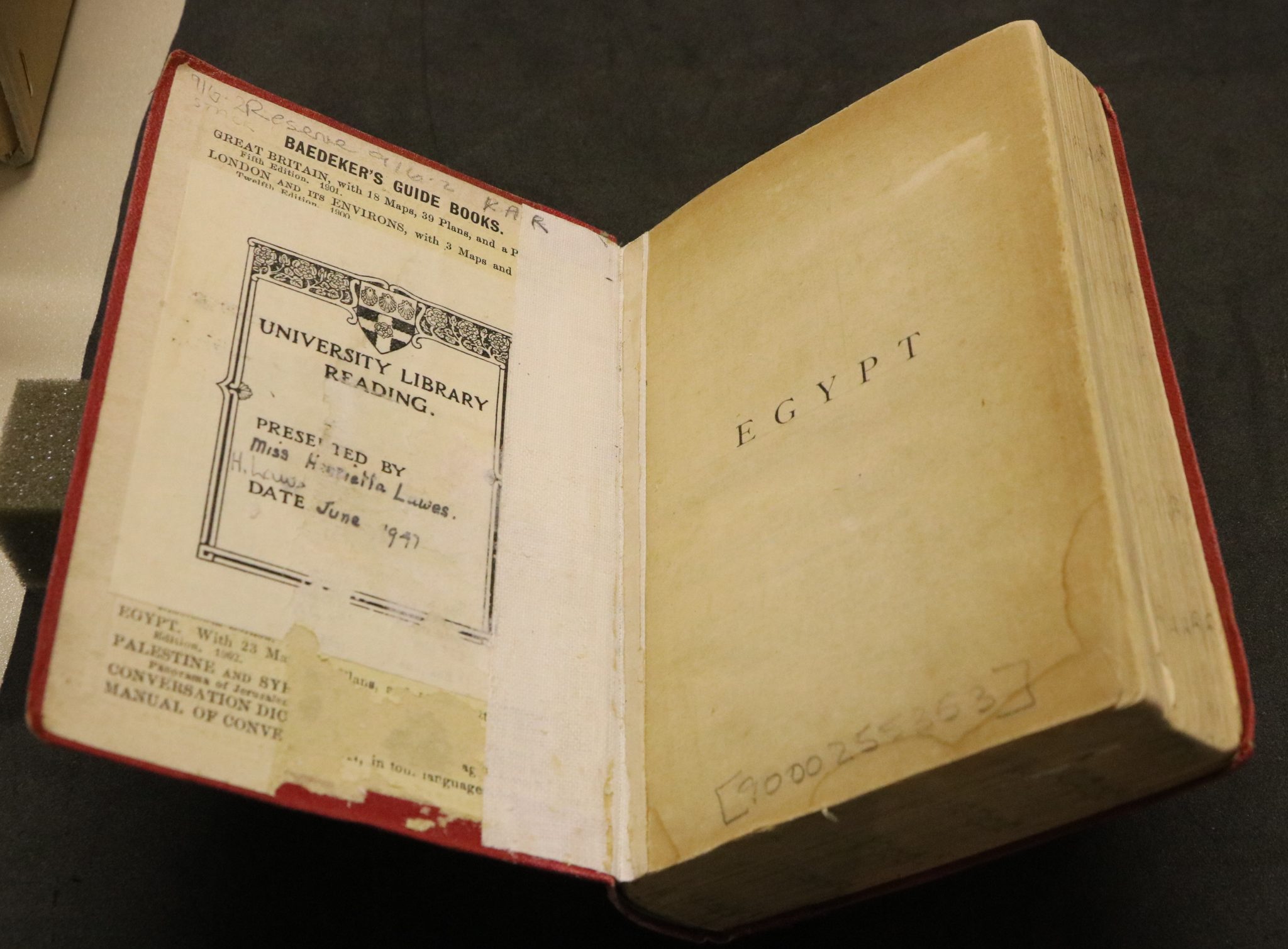 Miss Lawes' Library - Curiosi