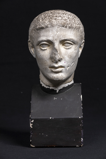 11. Cast of a head of a Lapith - Curiosi
