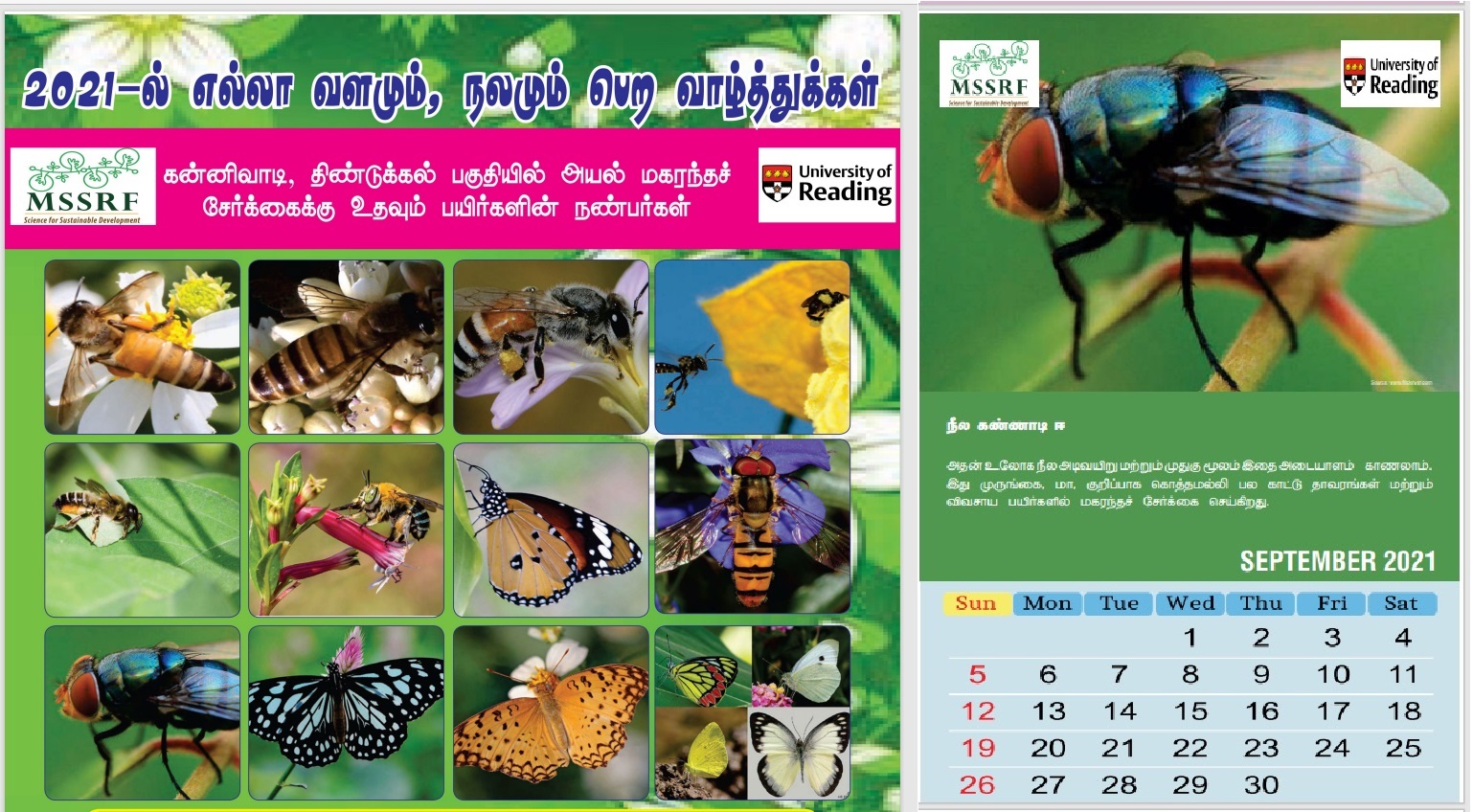 Dissemination - TROPICAL