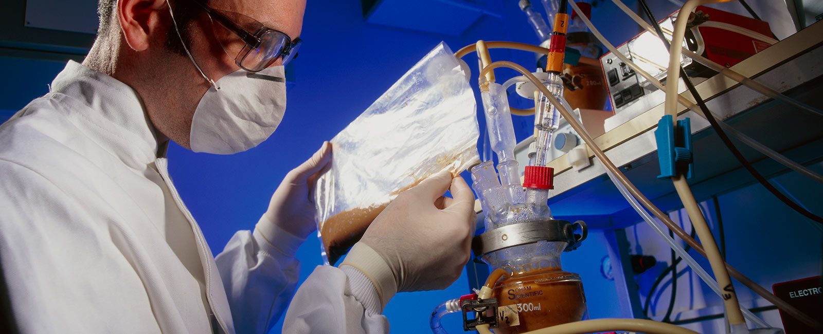 The Institute for Food, Nutrition and Health - IFNH