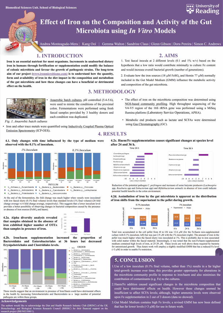 Poster - Iron and Gut Microbiome