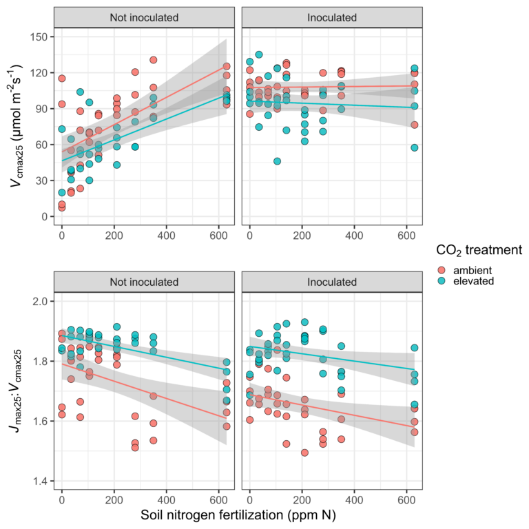 The A/Ci Curve. Updates from the LEMONTREE experimental team - Lemontree