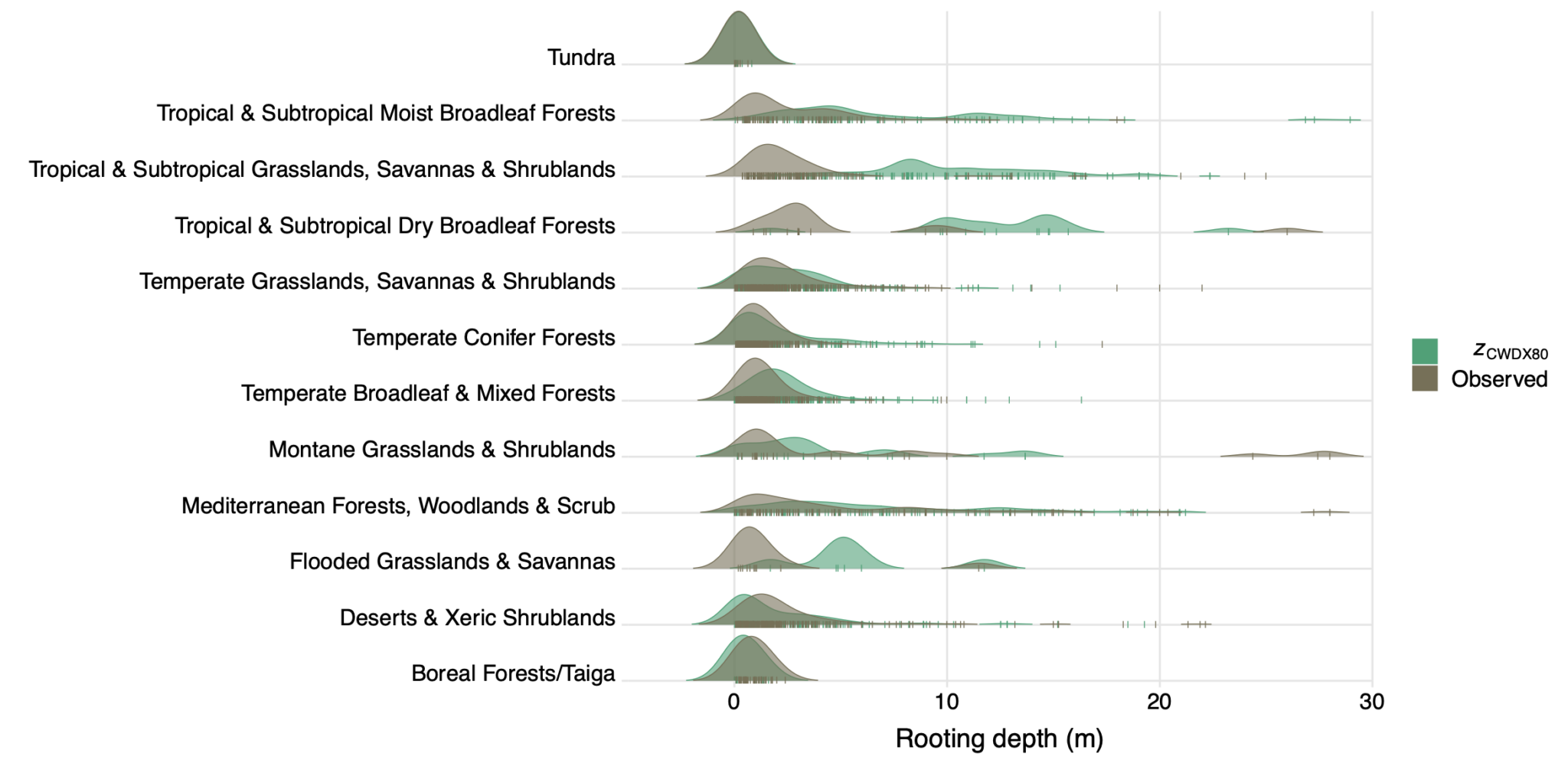 Optimal root zone capacity from an ecological perspective - Lemontree