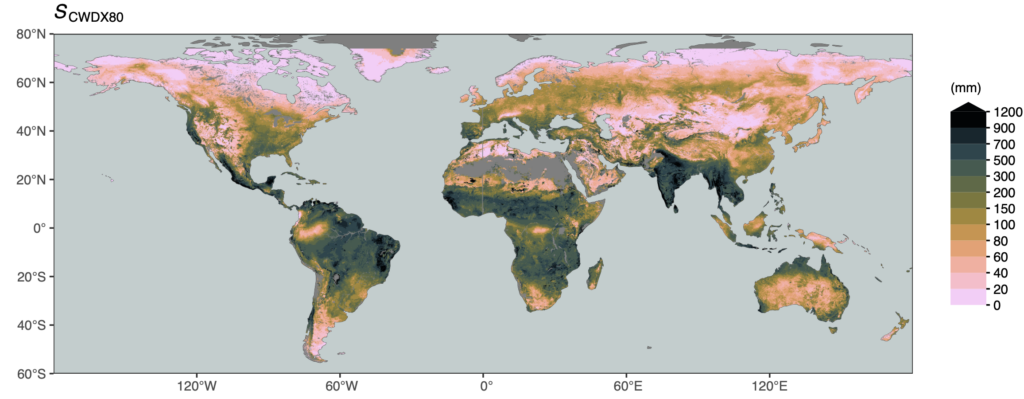 Optimal root zone capacity from an ecological perspective - Lemontree