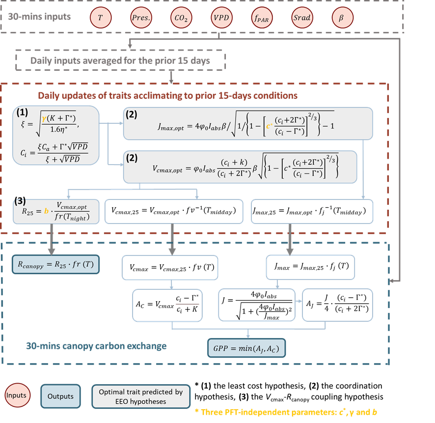 Integrating Acclimation into the NOAH-MP Model: Progress Towards Better ...