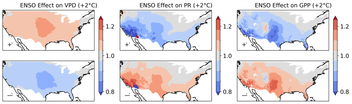 How Global Climate Patterns Shape Wildfire Risk in the United States ...