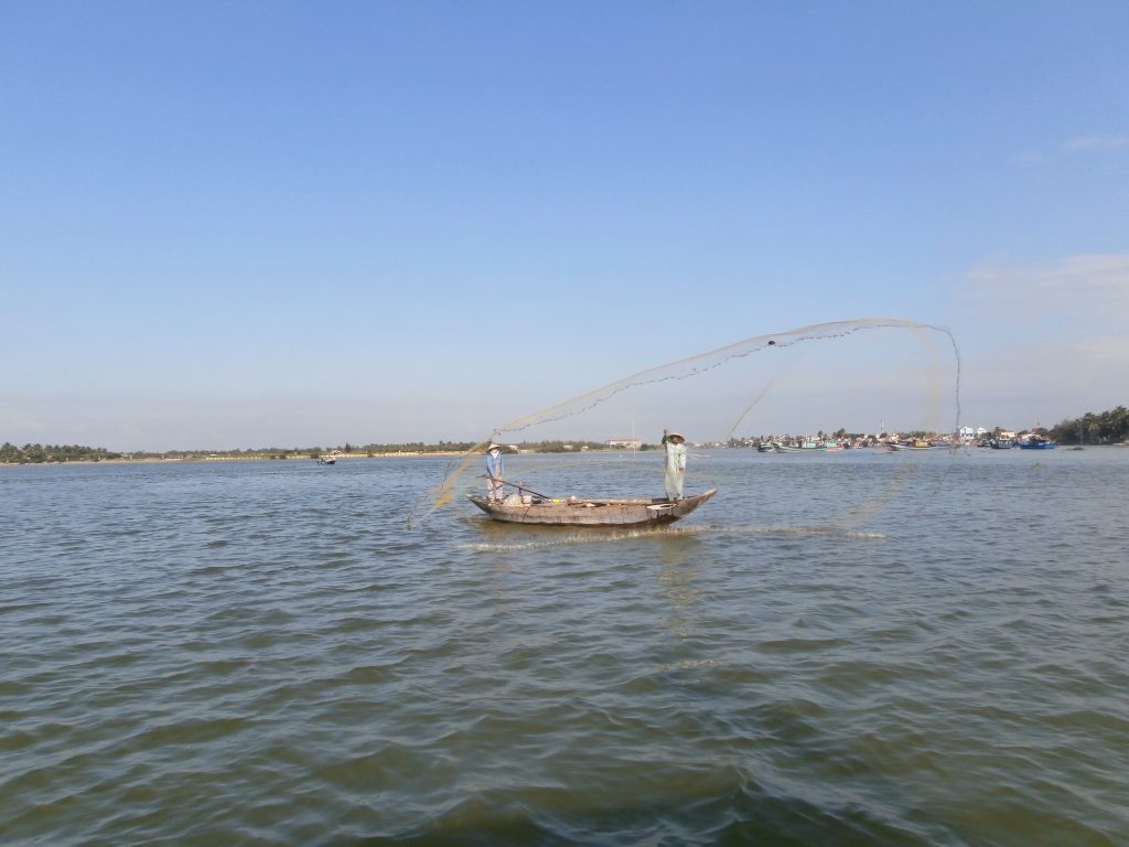 Provisioning and supporting services of mangroves - Mangrove ...