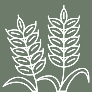 About - MONOGRAM 2023