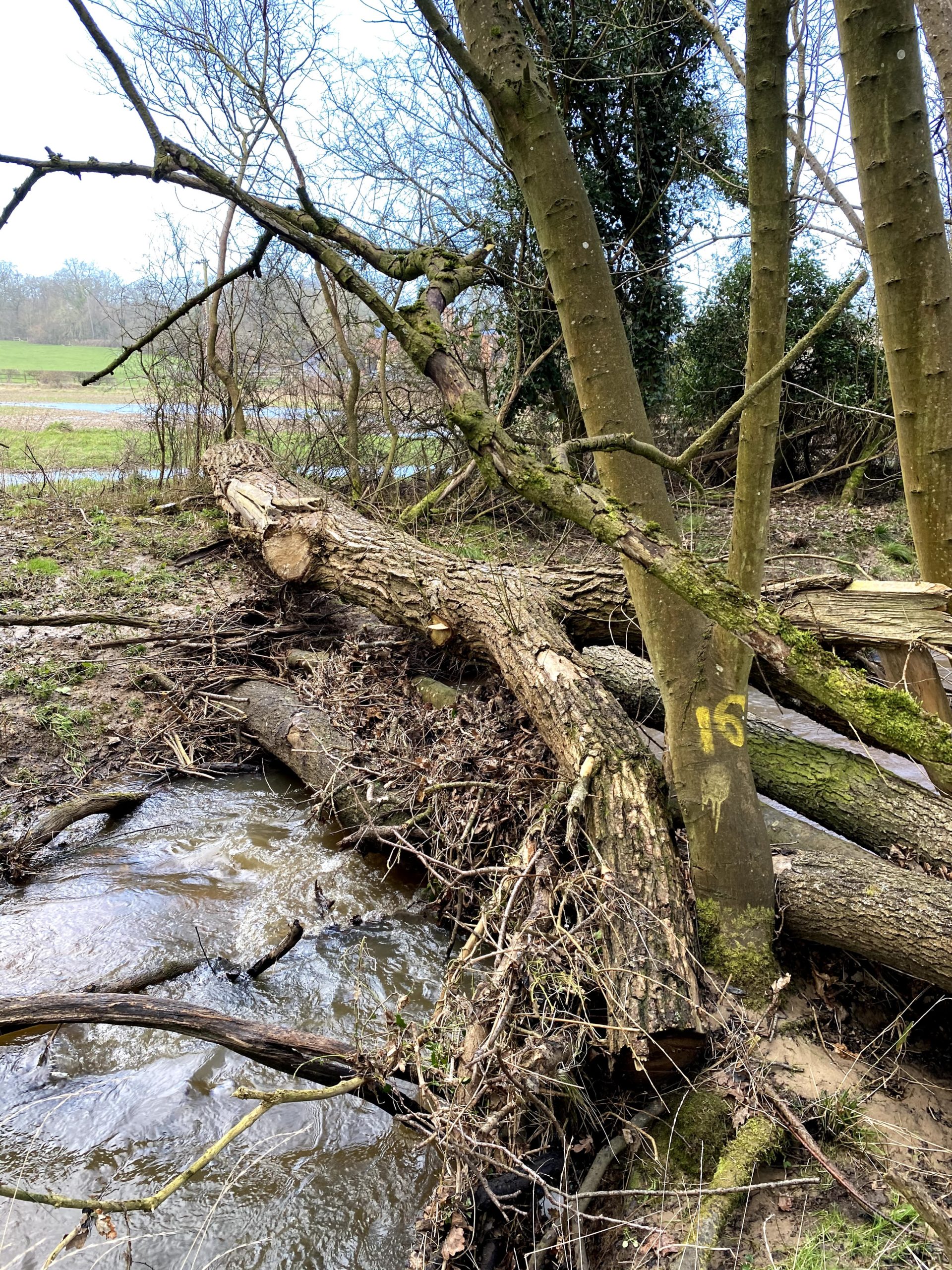 Blog - Lower Pang Leaky Dams Defra NFM Pilot Project - NERC Natural ...