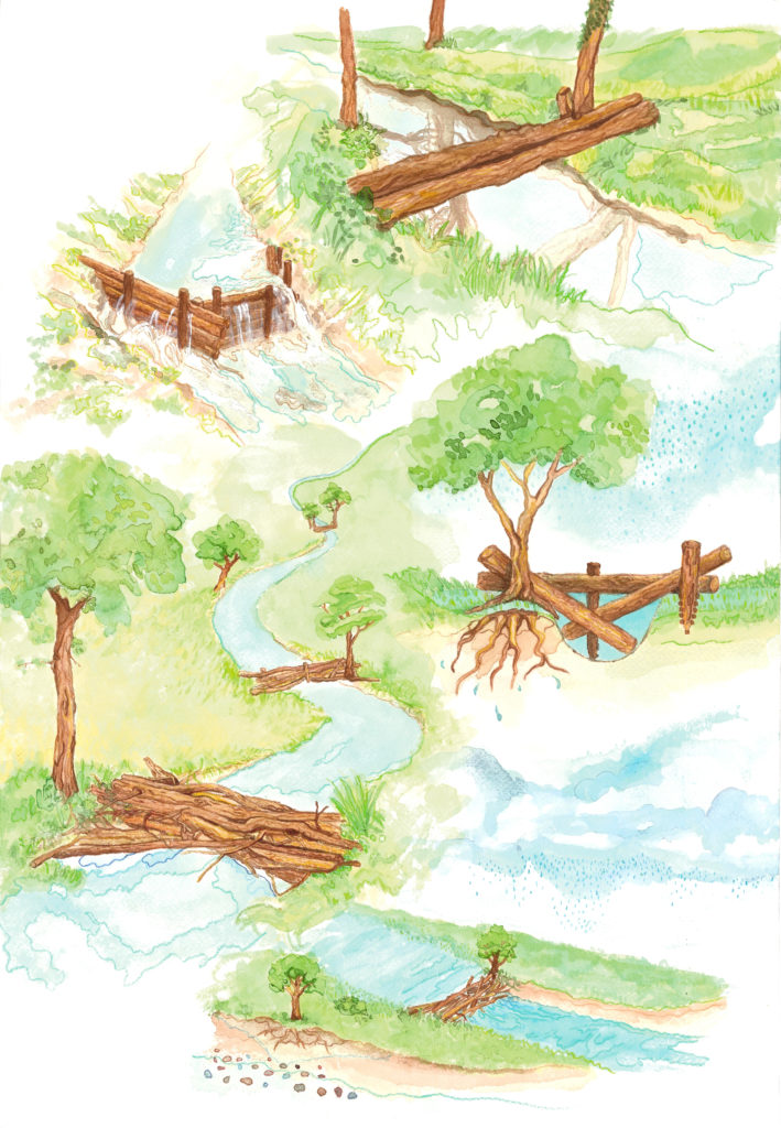 Blog - Illustrating the role of leaky barriers in flood attenuation ...