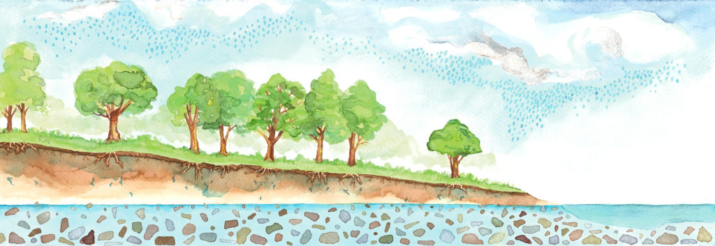 Blog - Illustrating the role of leaky barriers in flood attenuation ...