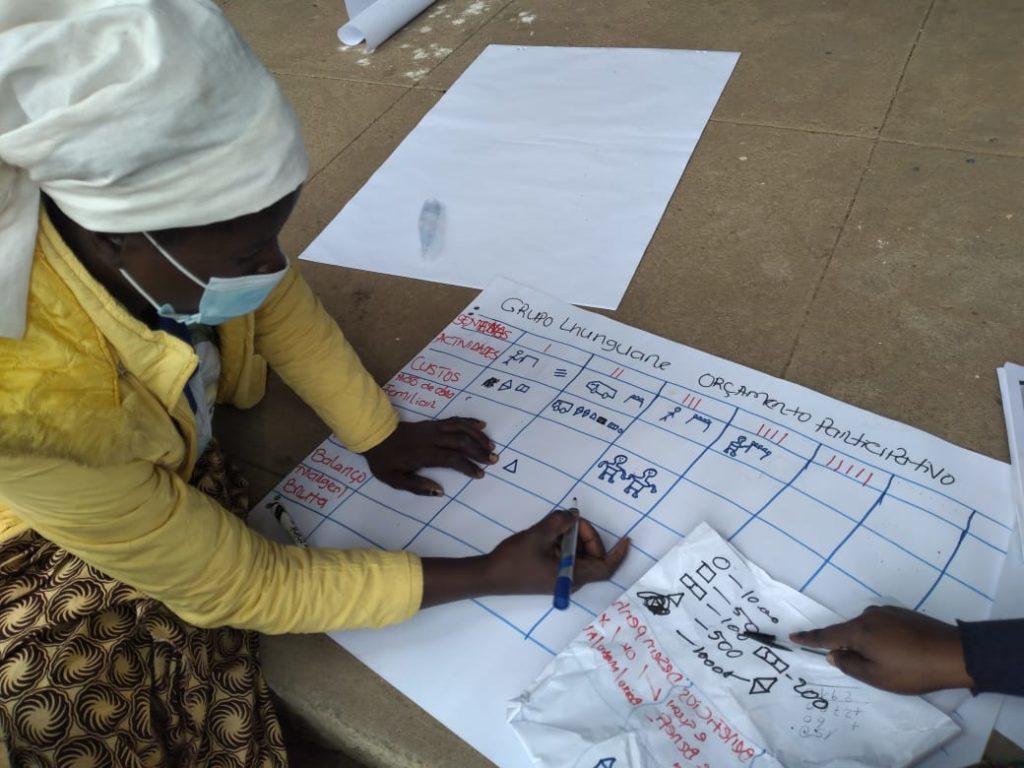 New PICSA trainings in Malawi and Mozambique - PICSA