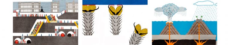 Marie Neurath: Picturing Science exhibition at the House of ...