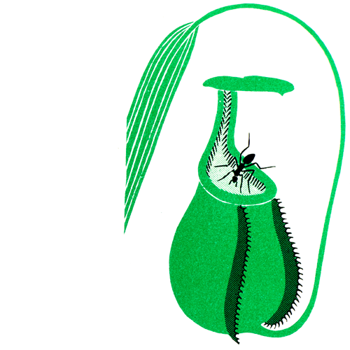 Resources - Picturing Science