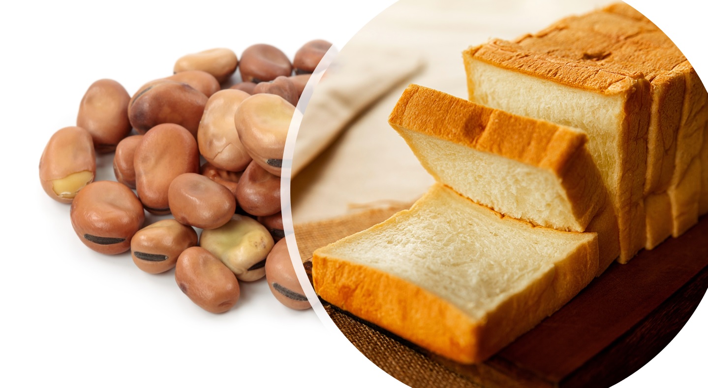 WP 2 – Development of Palatable, Nutritious Pulse-based Ingredients and ...