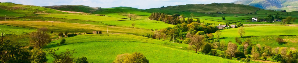 Black History Month: ‘A visit to the countryside is always accompanied ...