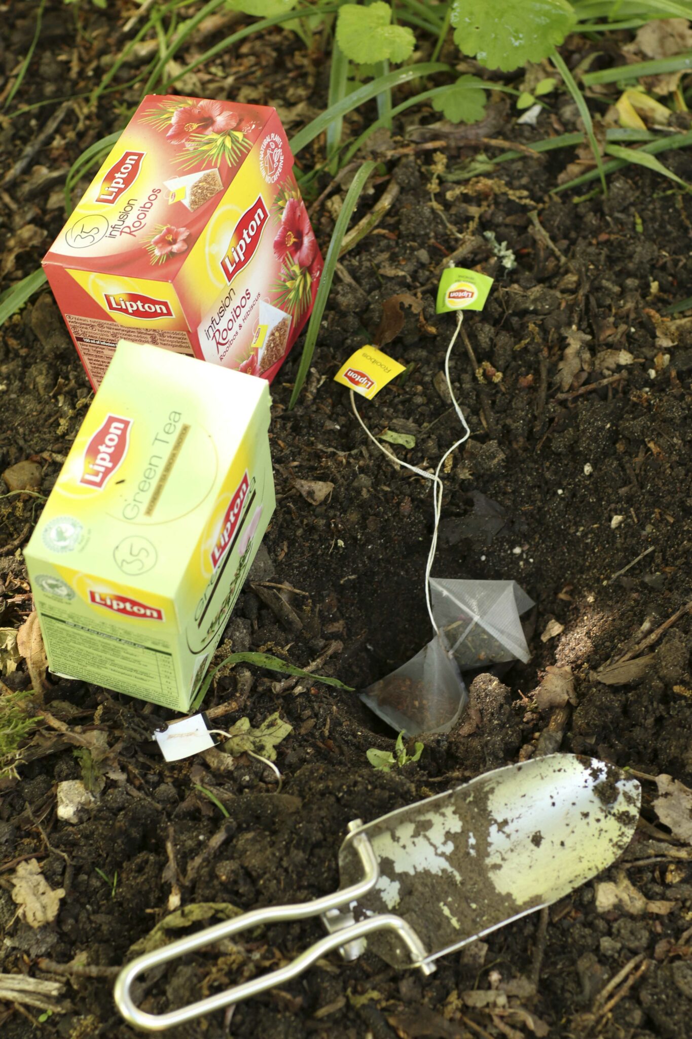 The Tea Bag Index: using tea bags to measure soil decomposition and ...