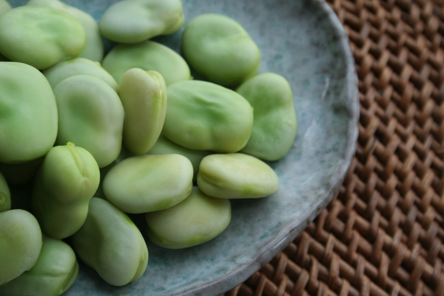 Raising the Pulse: How faba beans can transform our diet and the planet ...