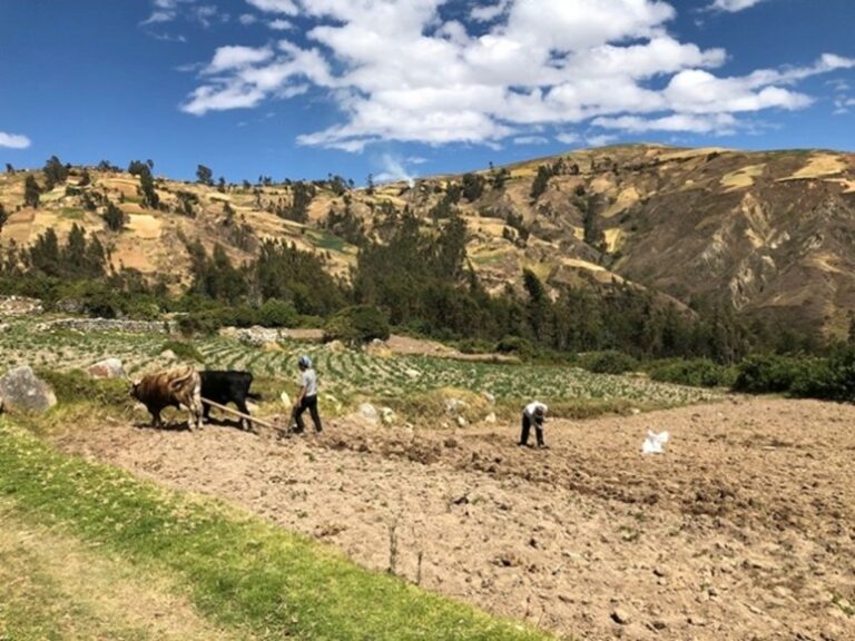 SC2024_35 Climate variability and societal responses in Pre-Columbian ...