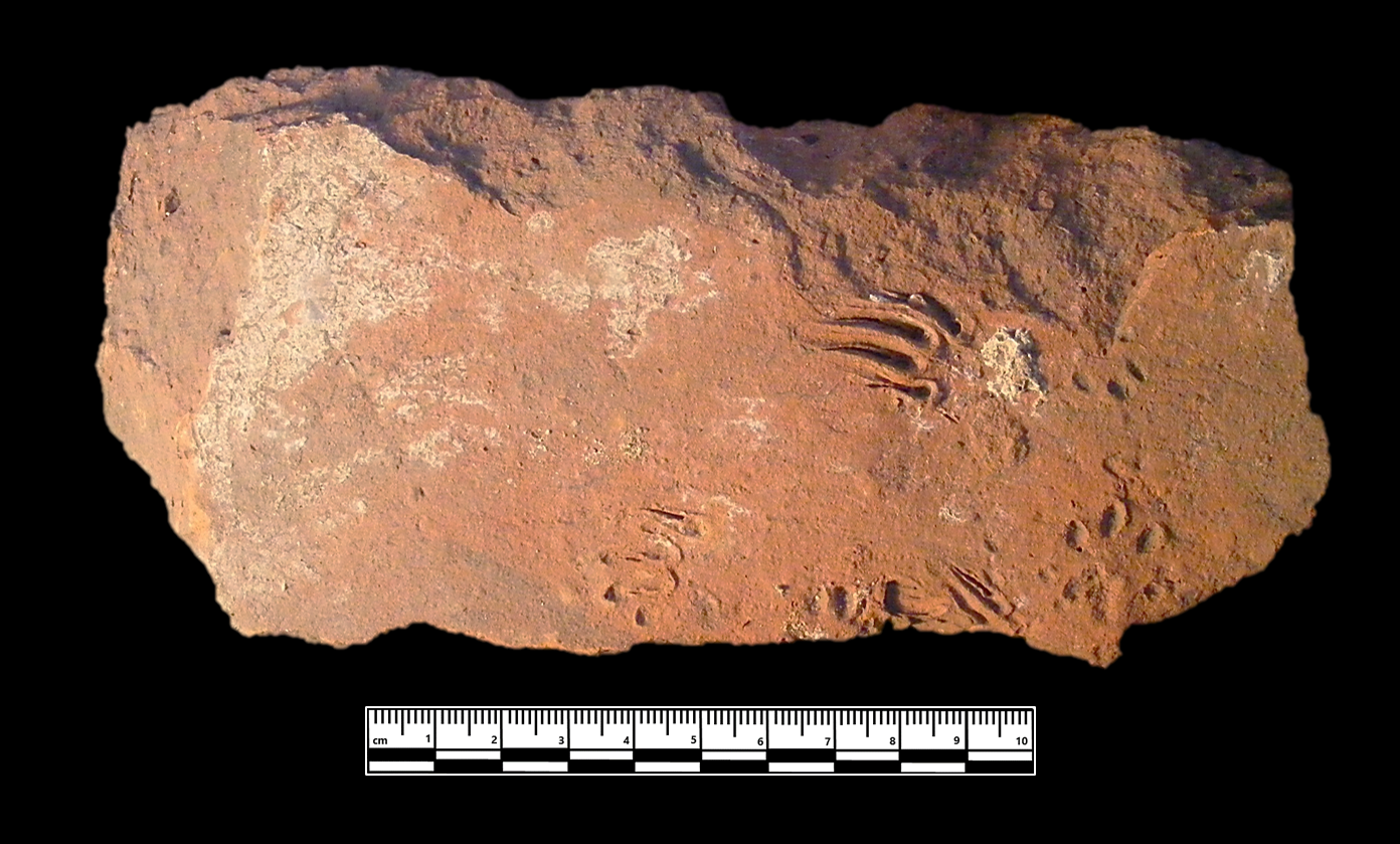 Footprints on Roman brick and tile - Silchester Archaeology