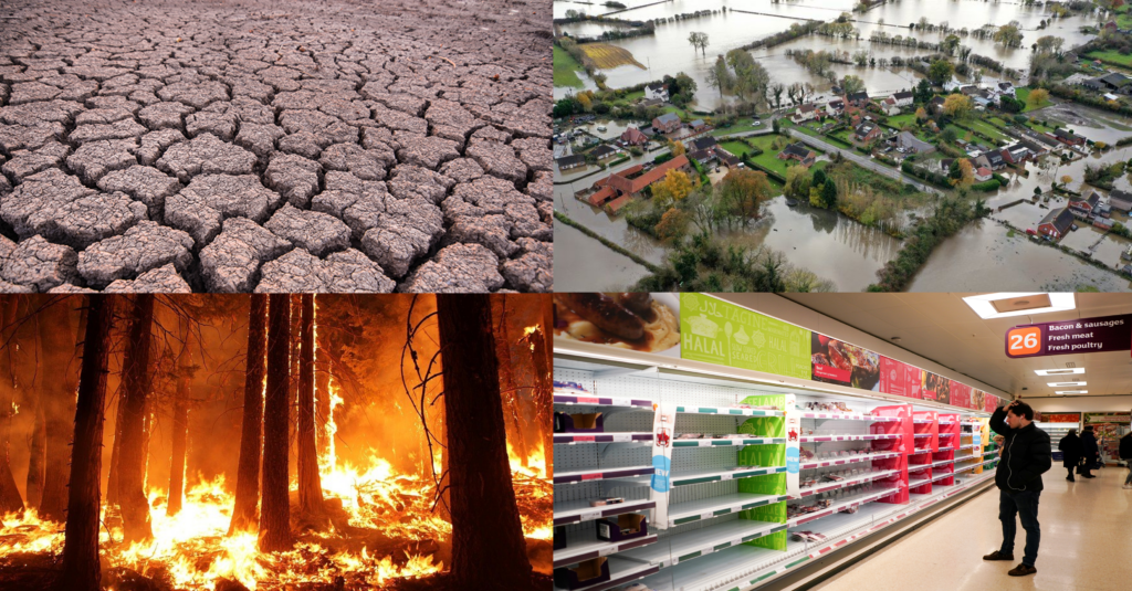 Empowering community-led adaptation to systemic risks from climate ...