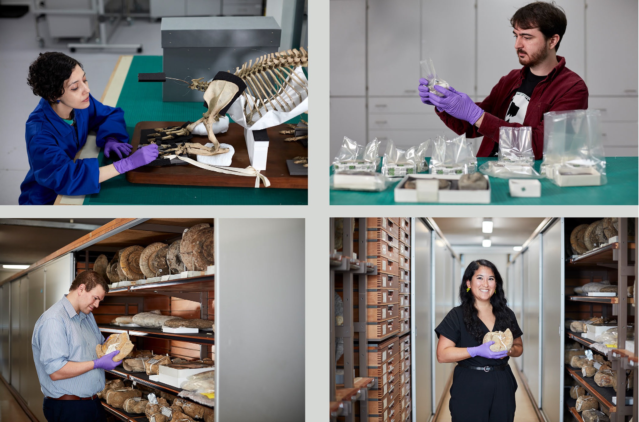 About Us - University of Reading and Natural History Museum