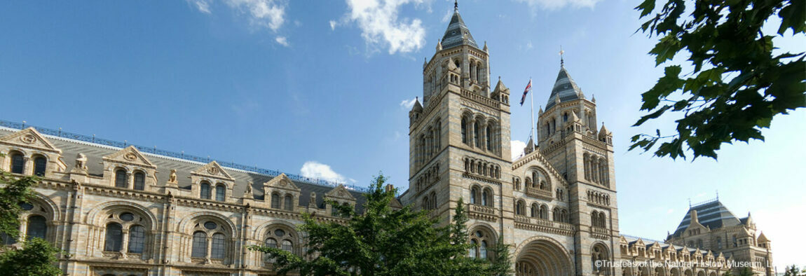 University of Reading and Natural History Museum - Strategic Partnership