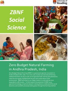 ZBNF Social Science - ZBNF